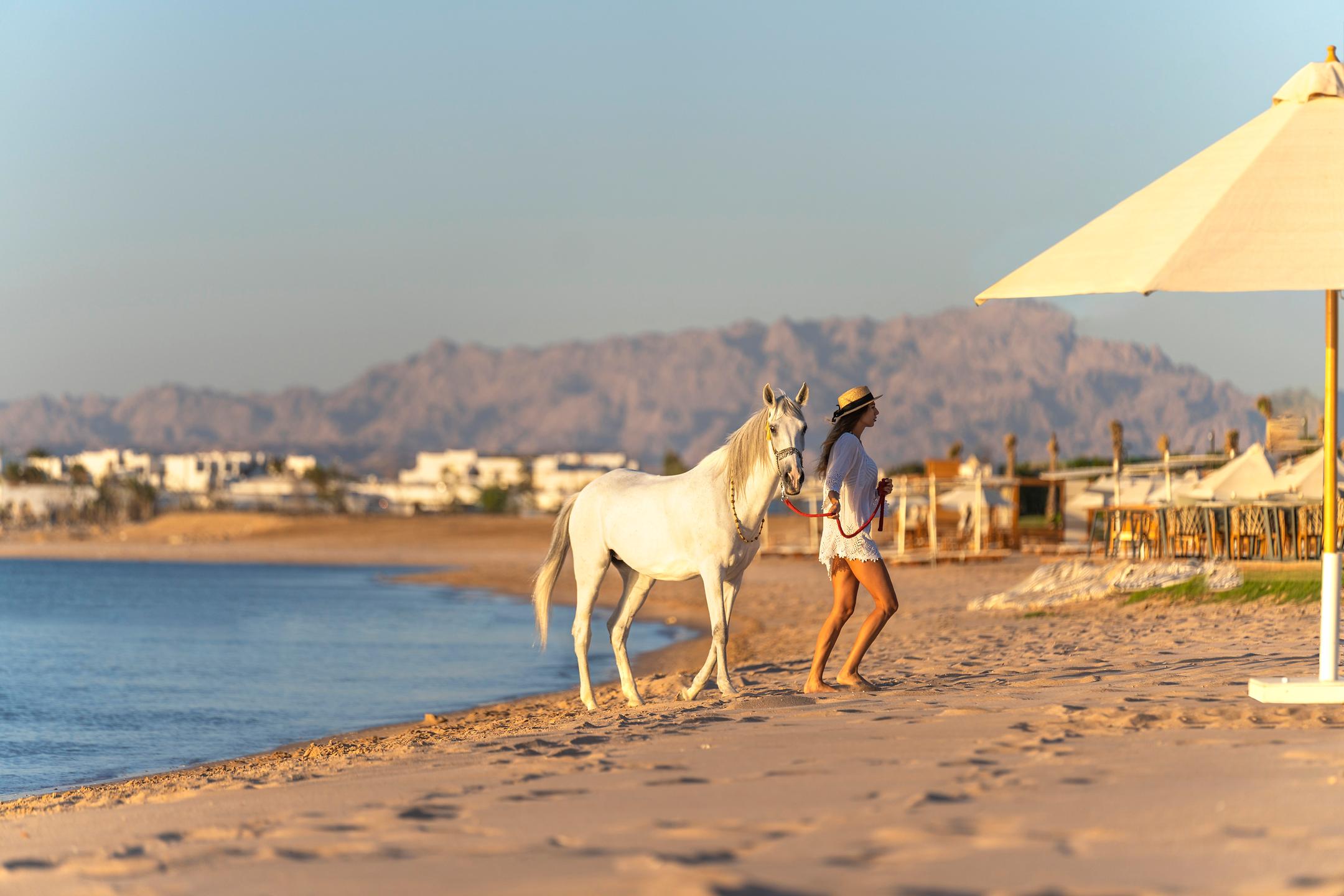 Rixos Premium Magawish Suites & Villas | Etstur