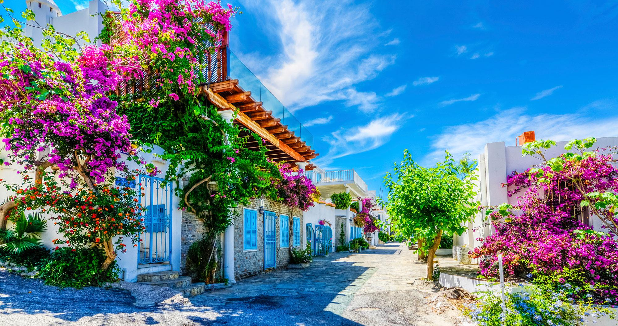 Bodrum Tatil Sürprizi | Etstur